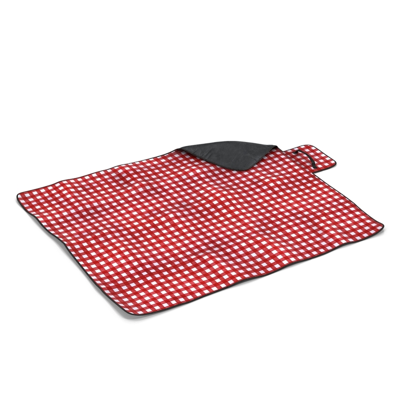 picnic blanket red max