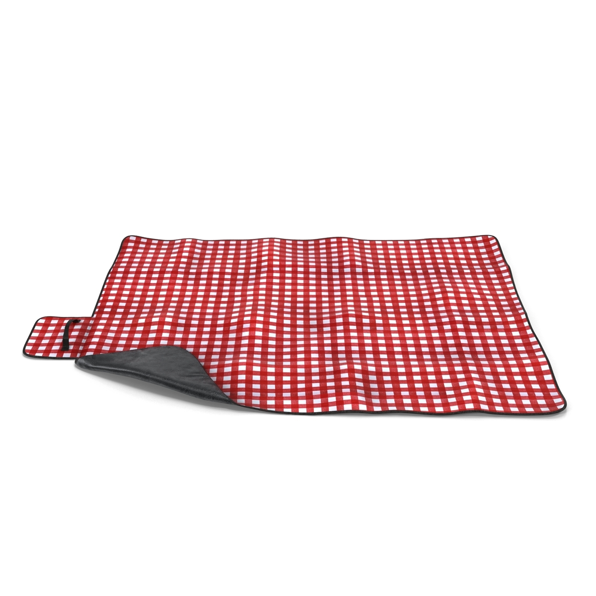 picnic blanket red max
