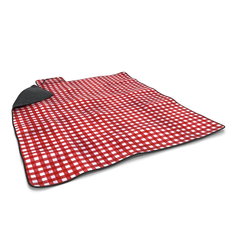 picnic blanket red max