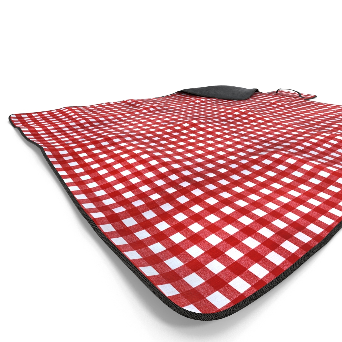 picnic blanket red max