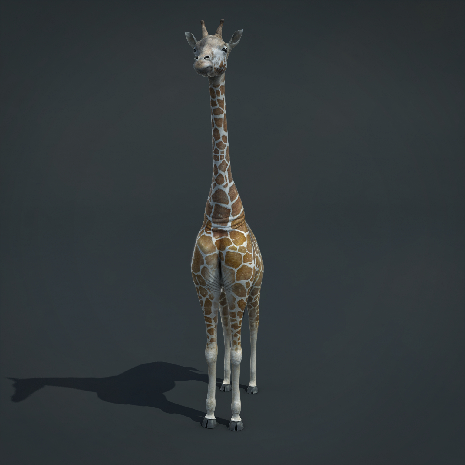 3d realistic giraffe