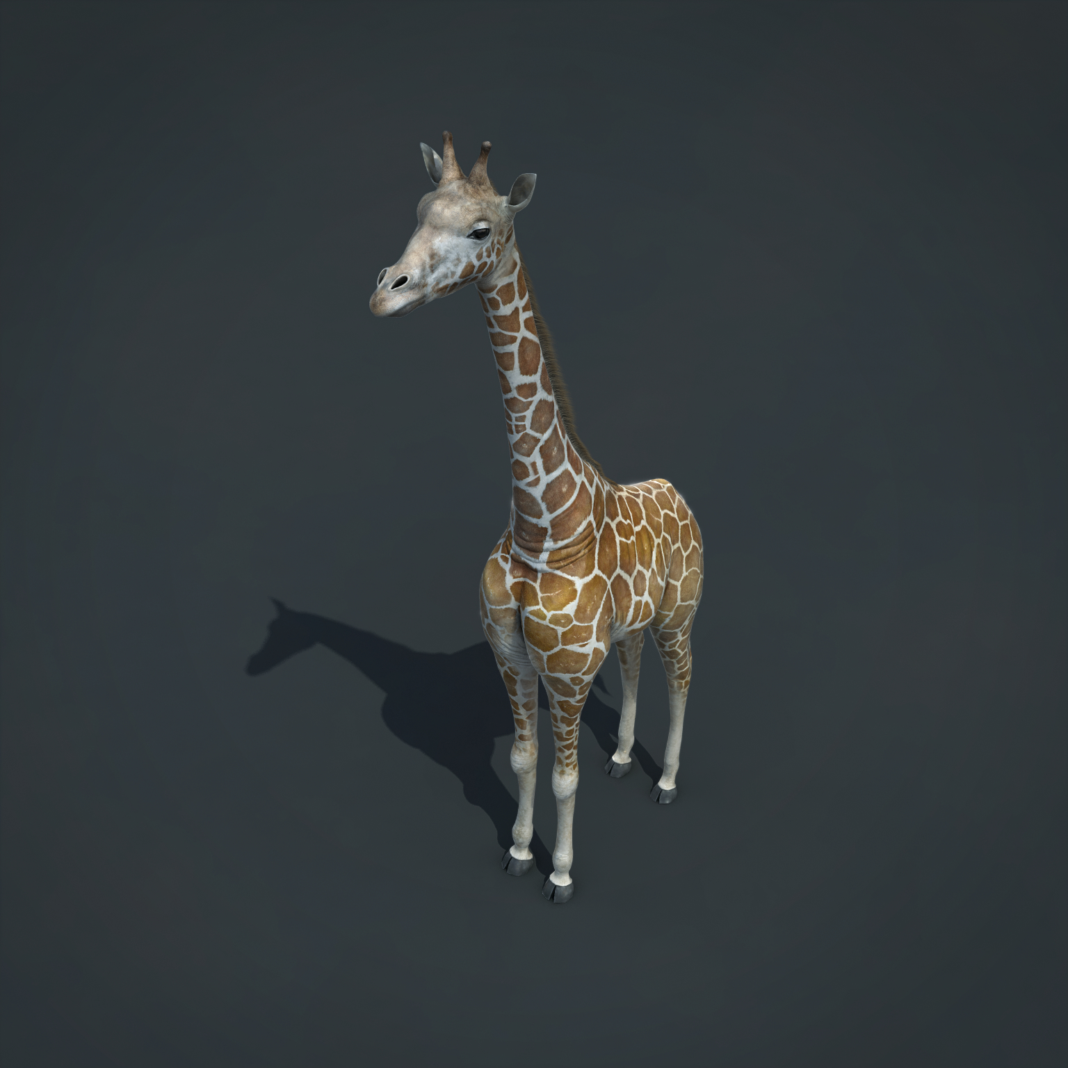 3d realistic giraffe