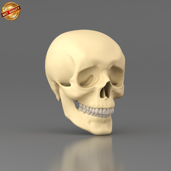 anatomy medical science 3d x