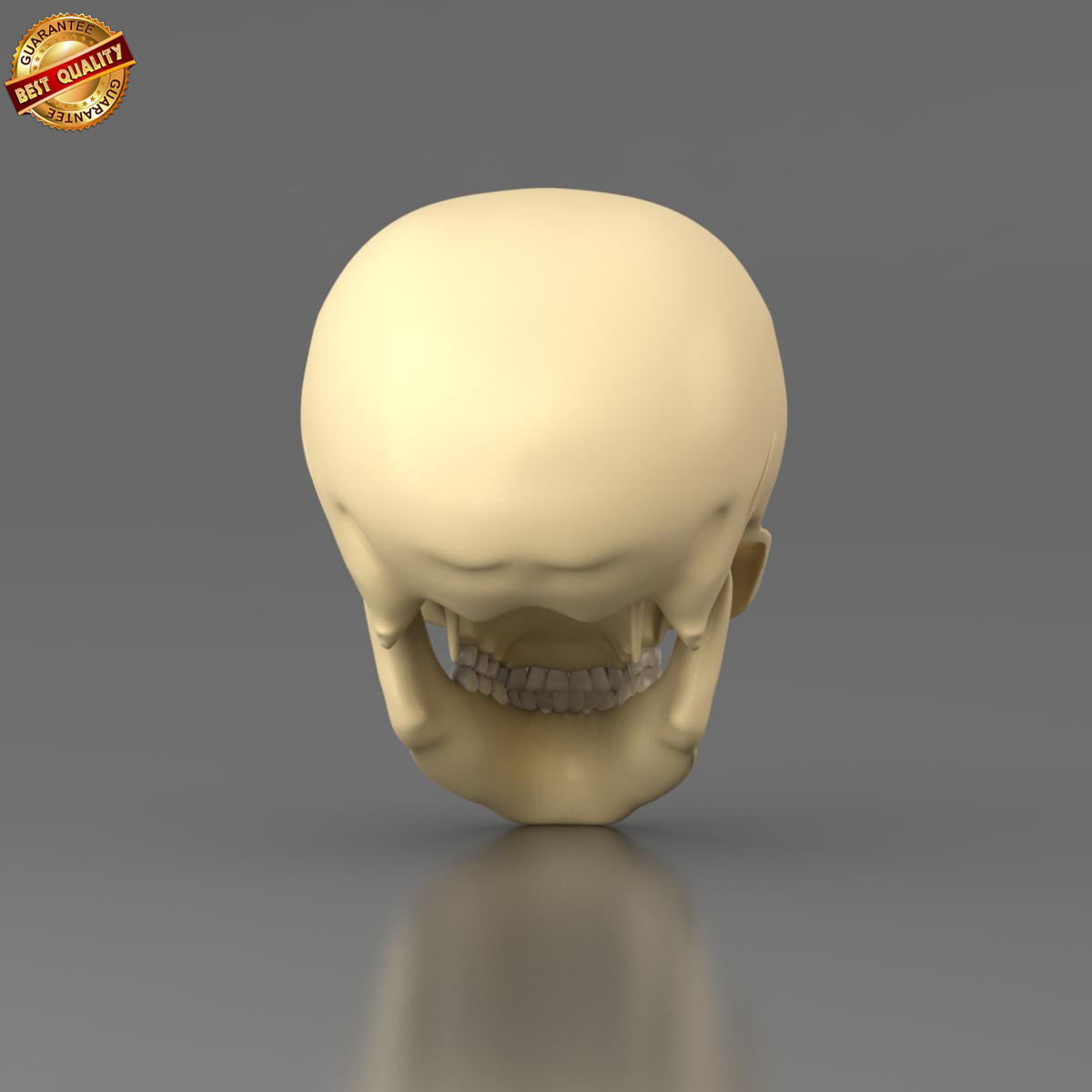 anatomy medical science 3d x