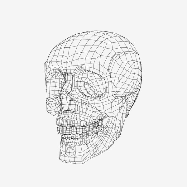 anatomy medical science 3d x