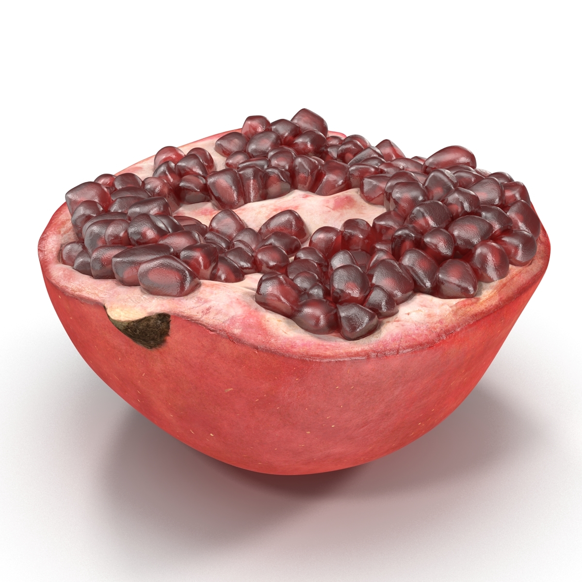 3d model of pomegranate cross section modeled