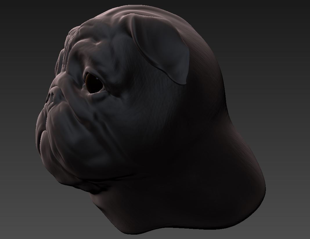 3d bust pug model