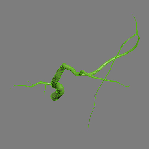 Scripts MaxScript splines branches roots