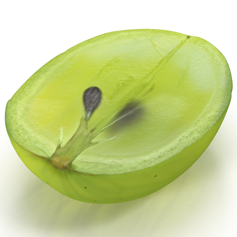 3d green grape cross section model