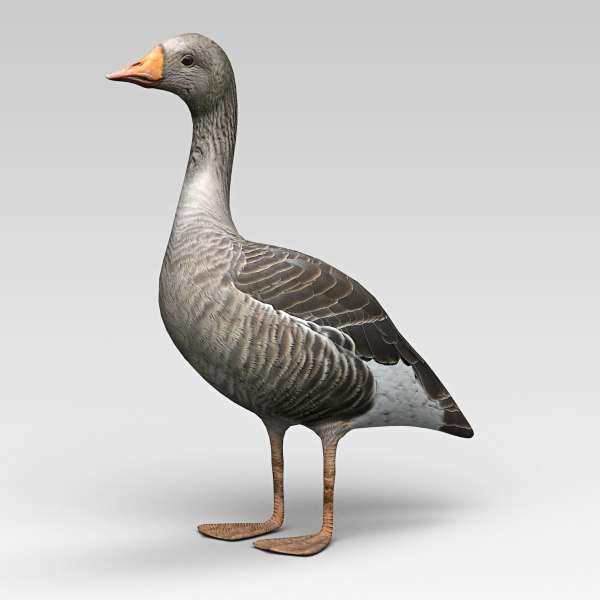 3d model goose