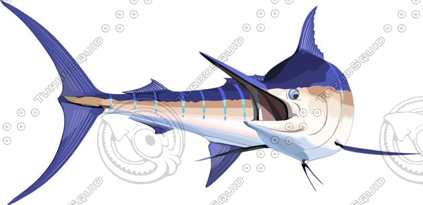 Shapes Adobe Illustrator marlin Vector blue