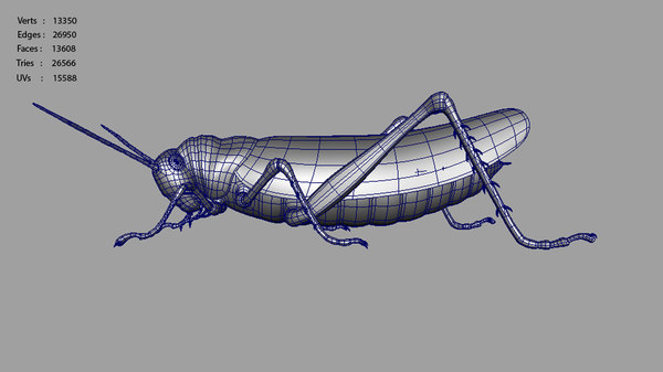 grasshoppers insects crickets 3d obj