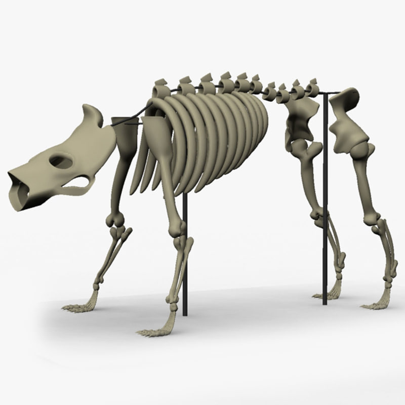 3d ma skeleton beast