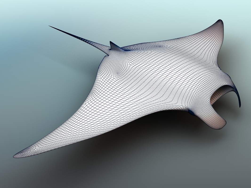 3d manta rays