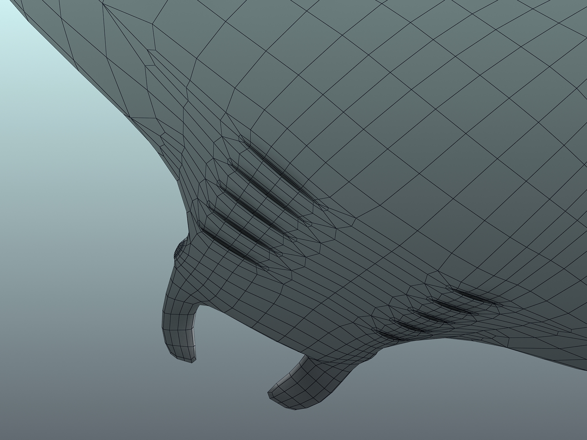 3d manta rays