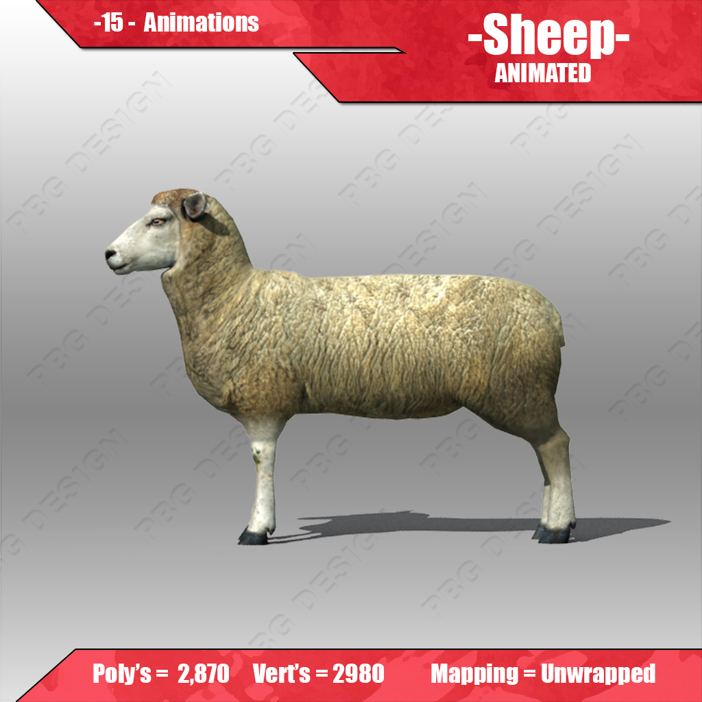 sheep animations 3d model