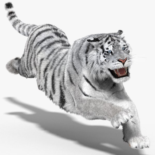 Tiger 3D Models for Download | TurboSquid