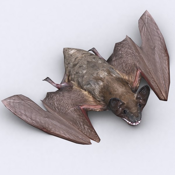 modelo 3d 3DRT-Bat - TurboSquid 912478