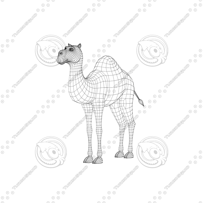 cartoon camel obj