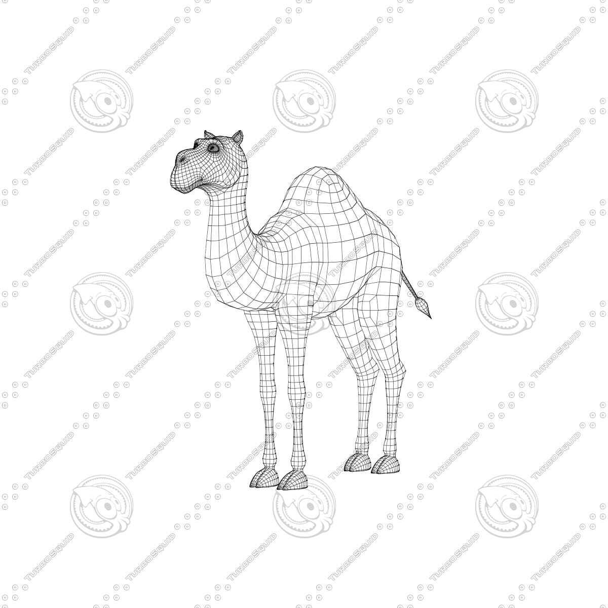 cartoon camel obj