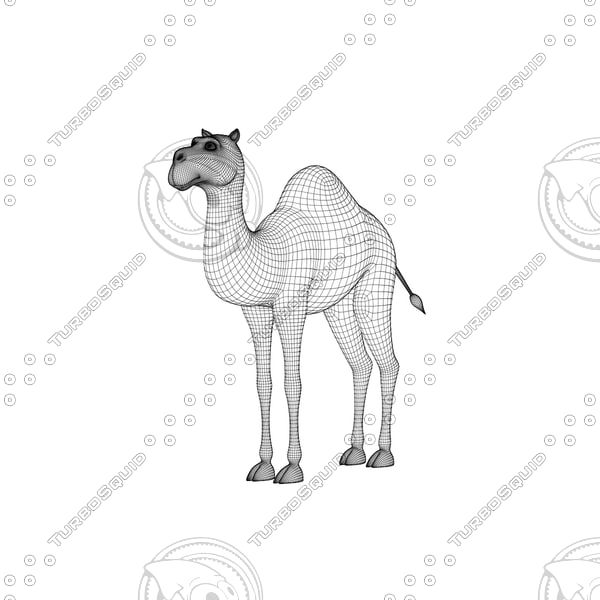 cartoon camel obj
