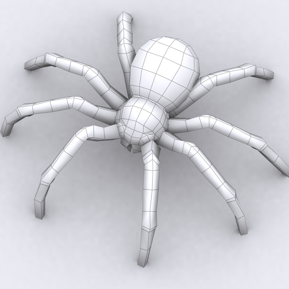 3d spider