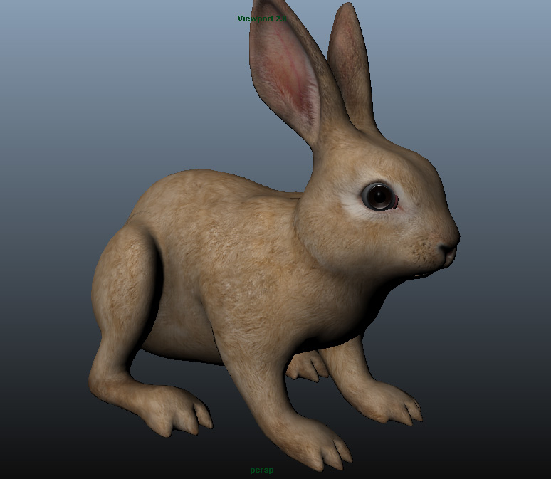 3d model rabbit