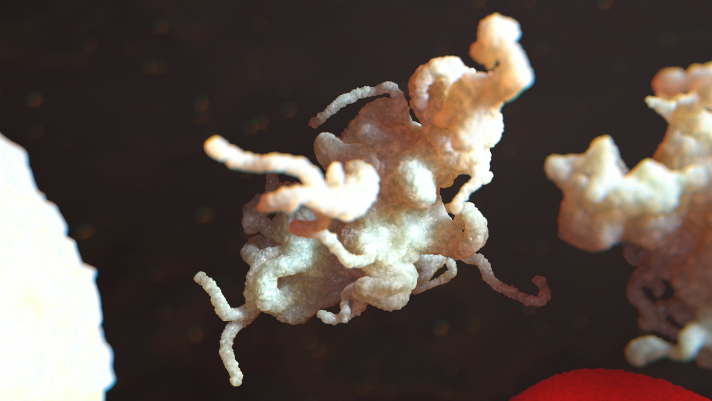 3d blood cells erythrocyte leukocyte