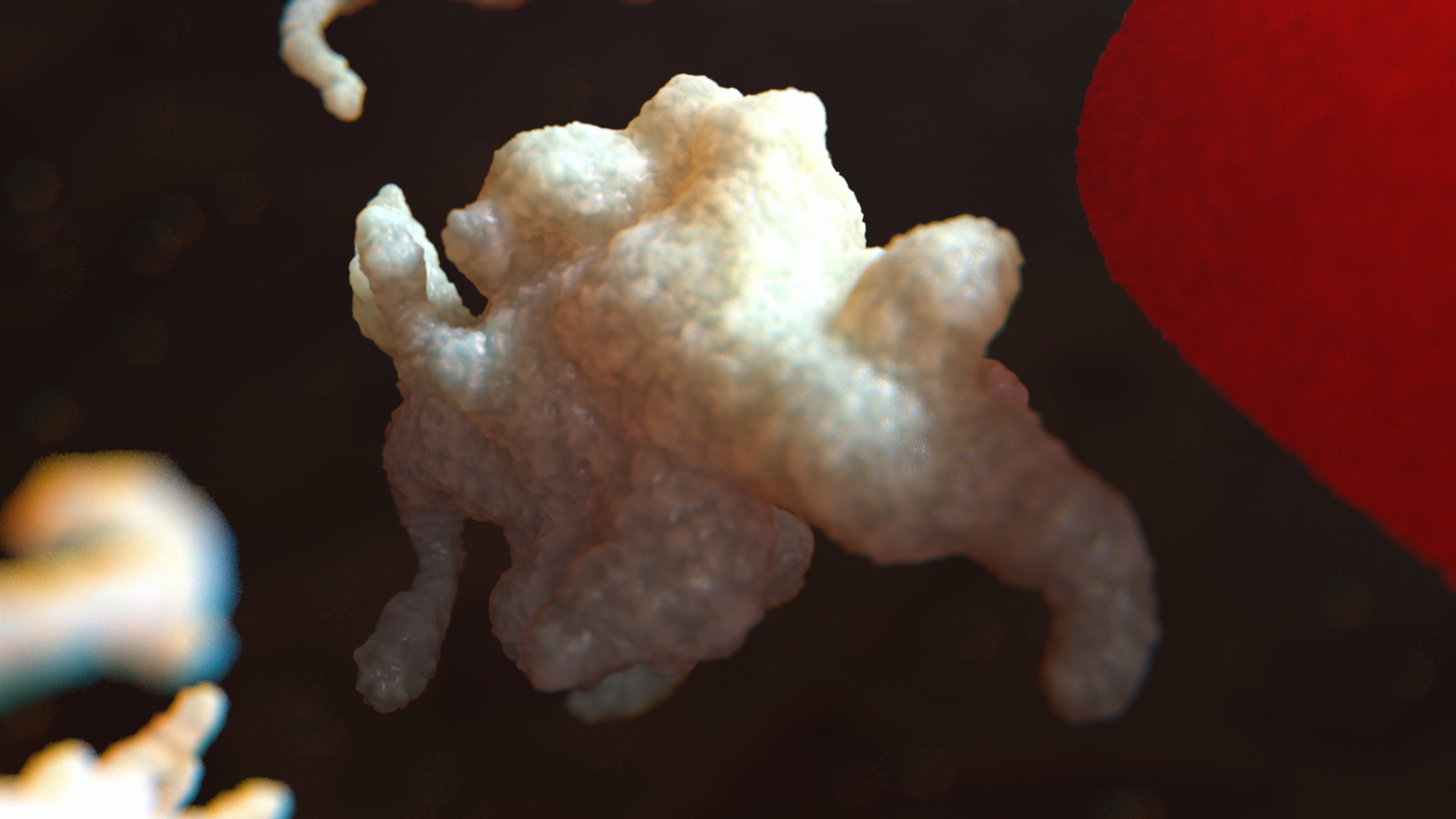 3d blood cells erythrocyte leukocyte