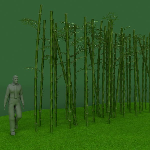 bamboo tree 3d model