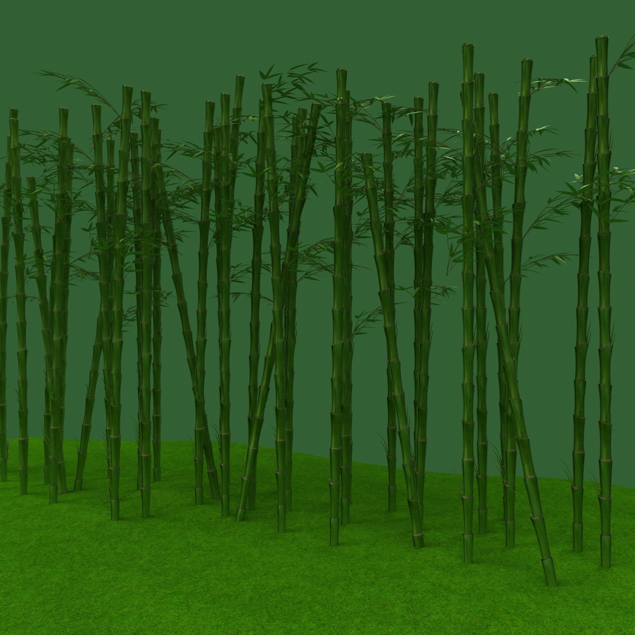 bamboo tree 3d model