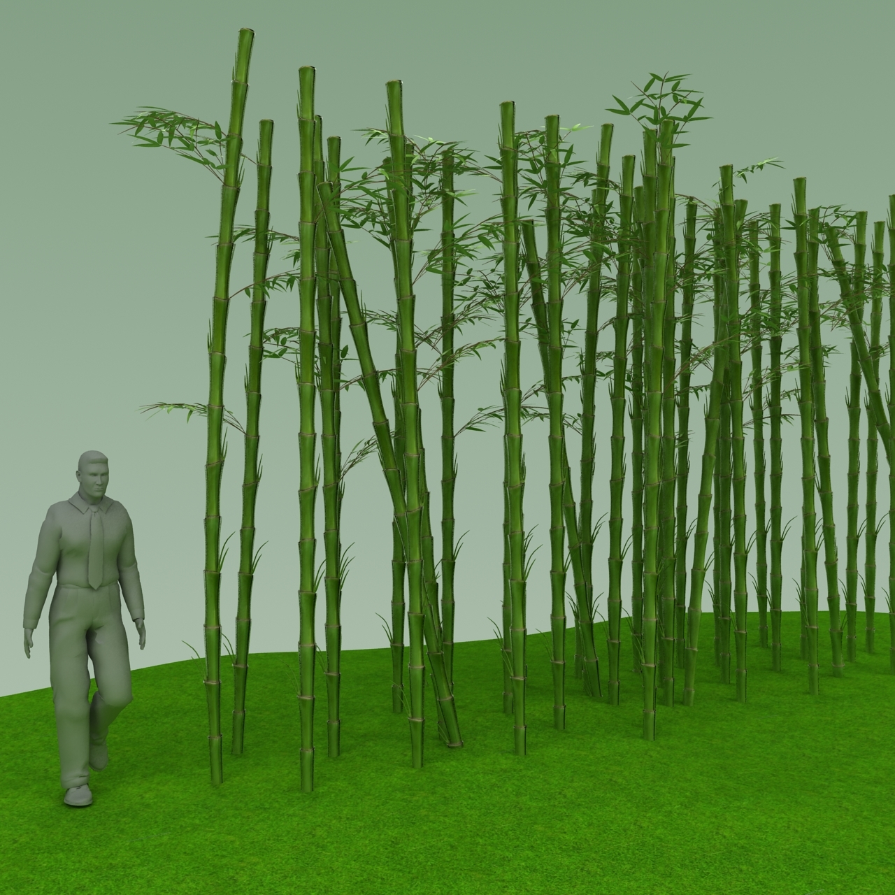 BAMBUS 3D-Modell - TurboSquid 913544