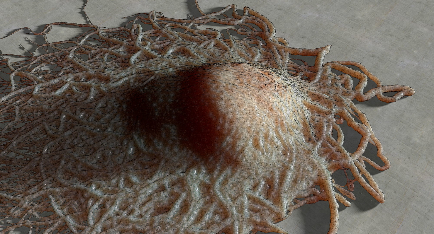 3d animation dying cell model