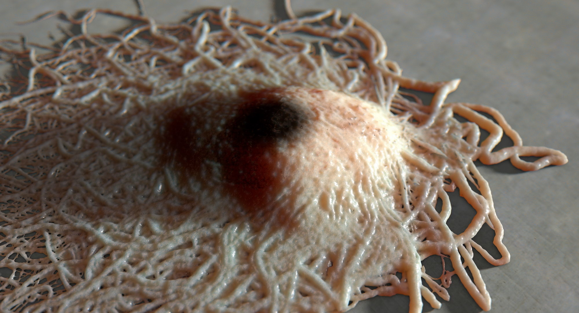 3d animation dying cell model