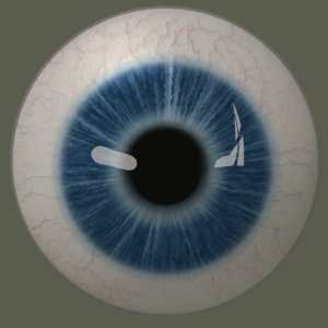 Eyes Blender Models for Download | TurboSquid