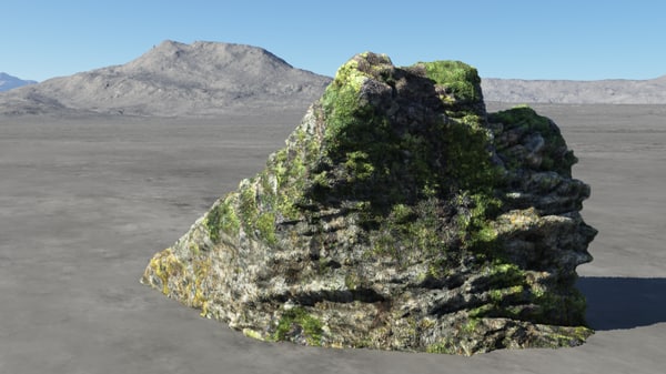 Texture Windows Bitmap Moss rock art