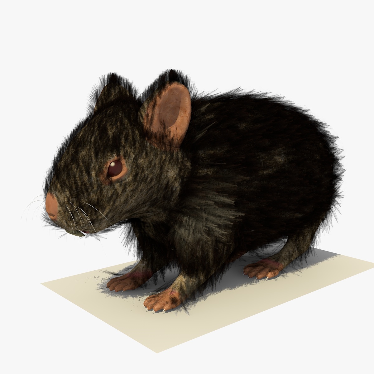 3ds max black hamster fur