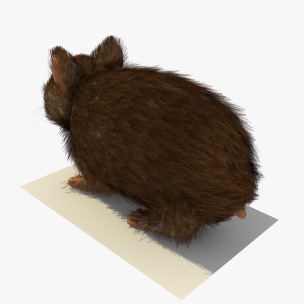 brown hamster fur 3ds