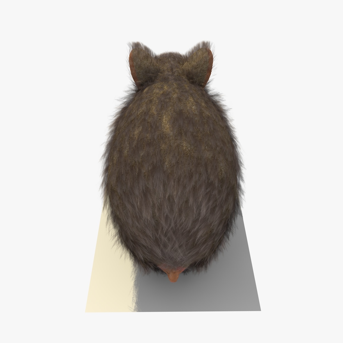 3d model grey hamster fur