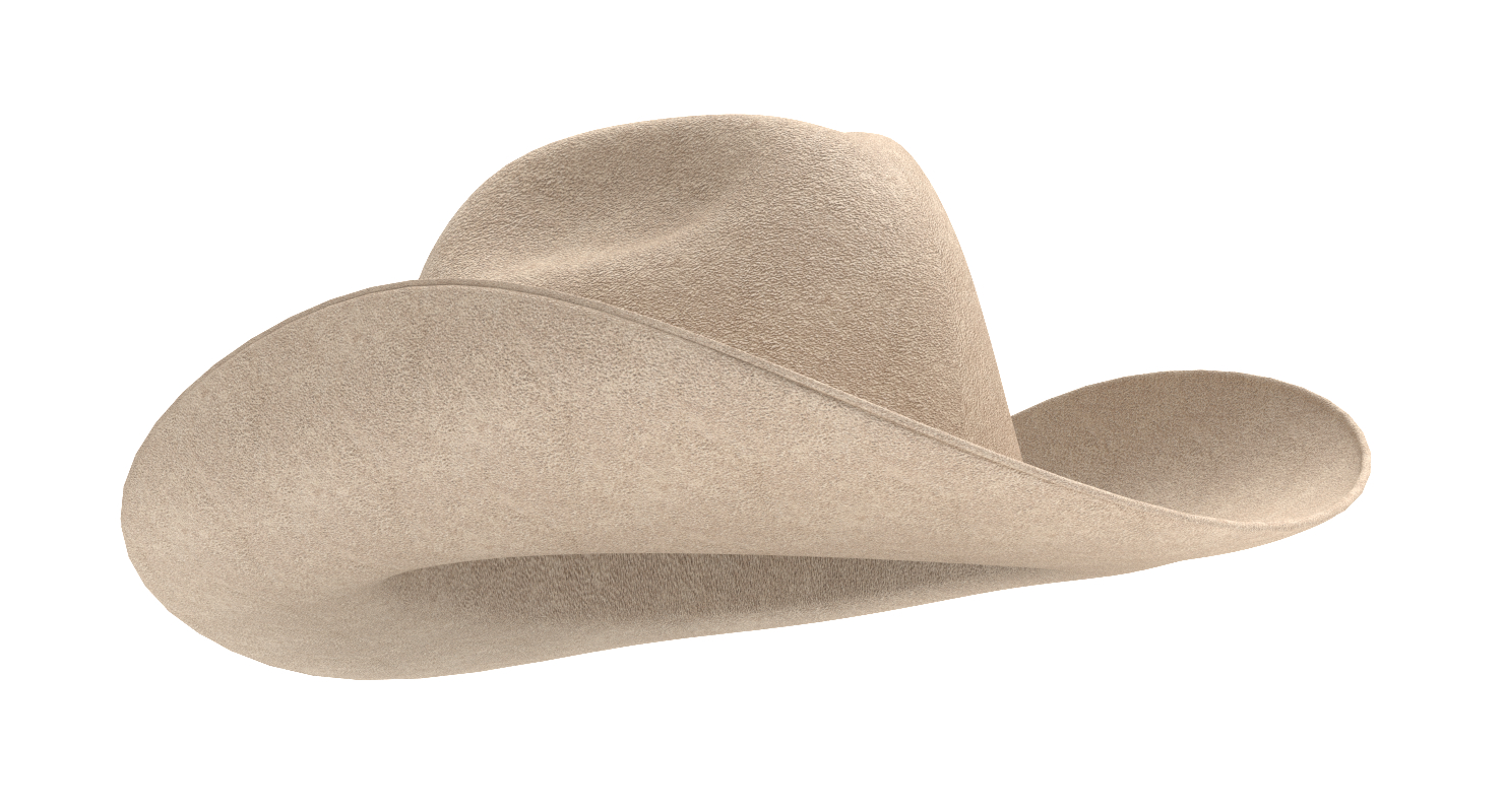 3d cowboy hat model