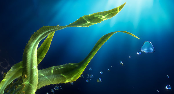 3d model seaweeds animation