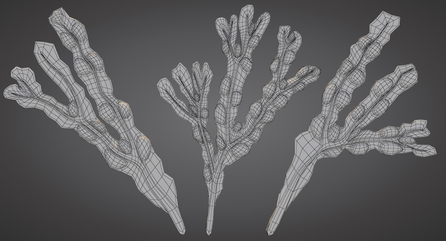 3d model seaweeds animation