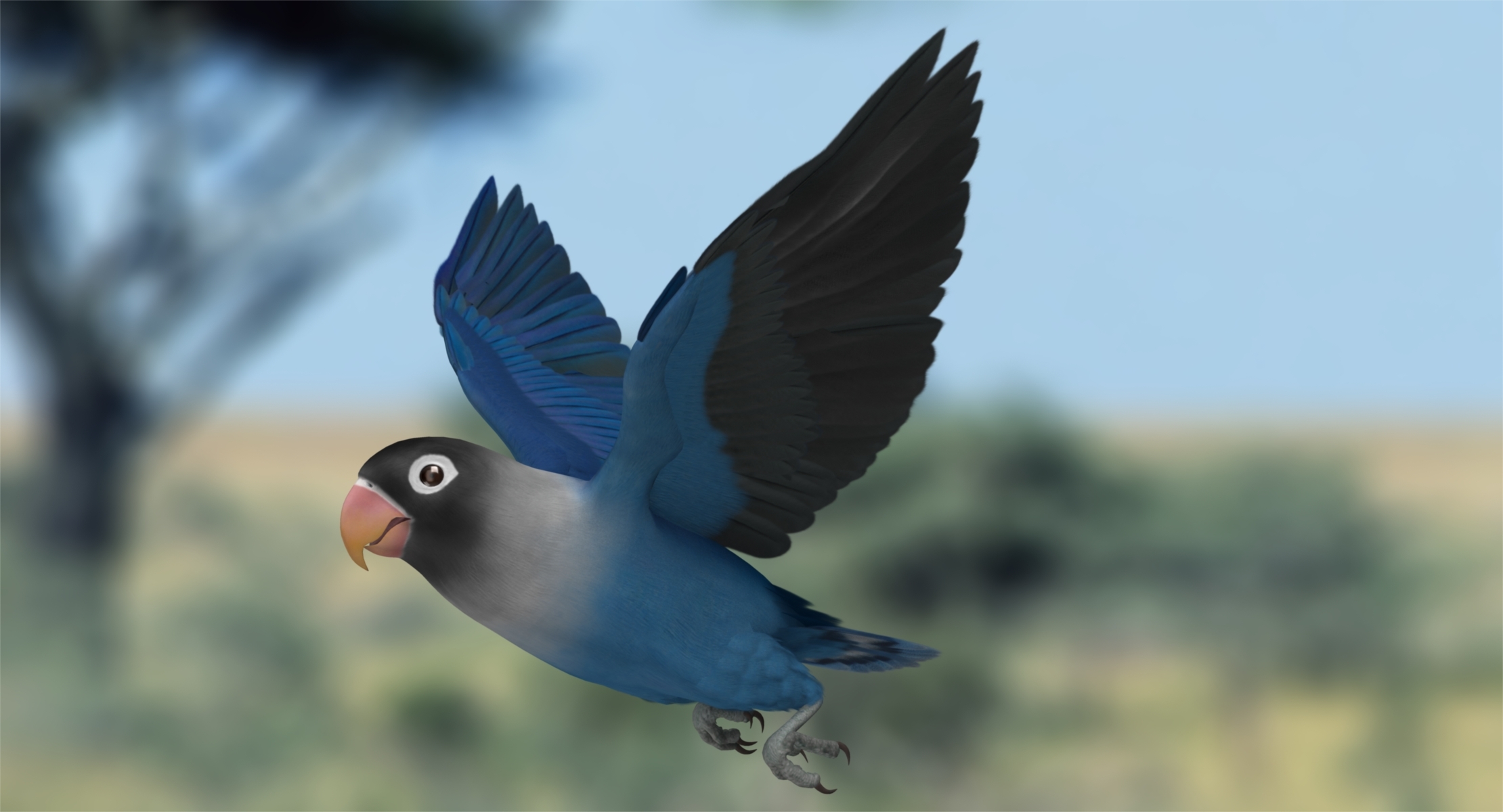 agapornis personata var blue obj