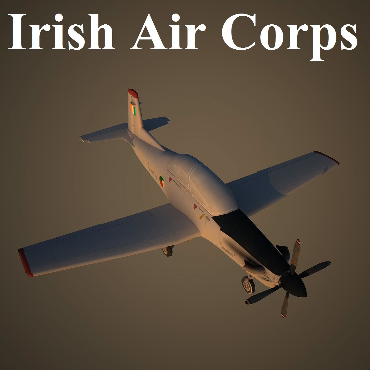 3d model pilatus irl