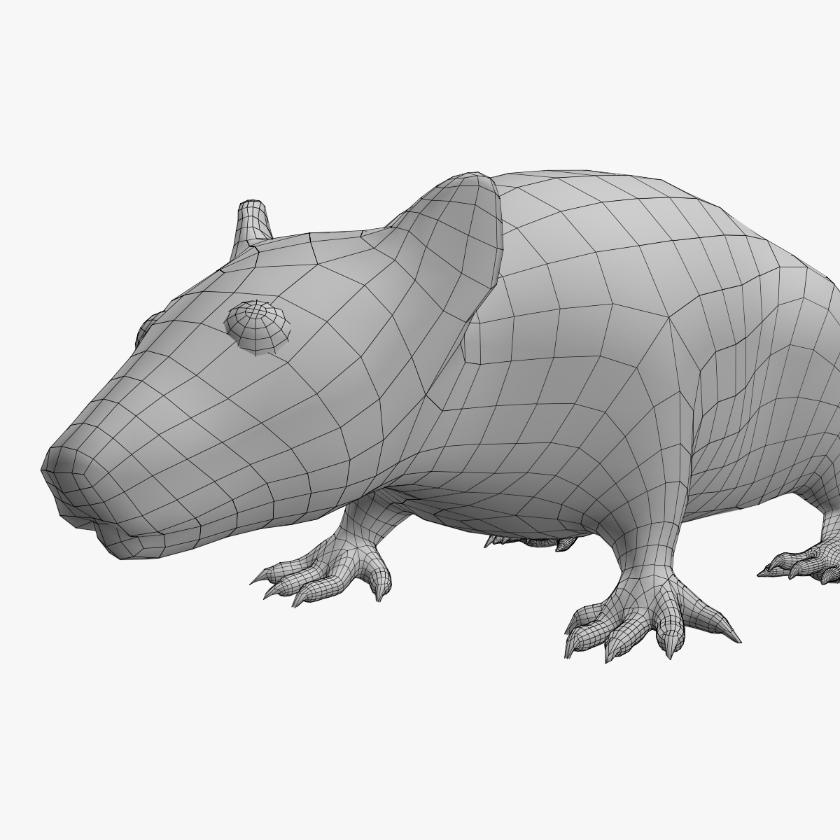 modelo 3d Rata - TurboSquid 917685
