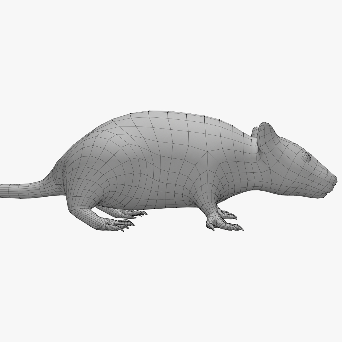 3d model rat rigged animation