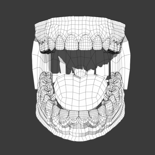 inner mouth 3d model