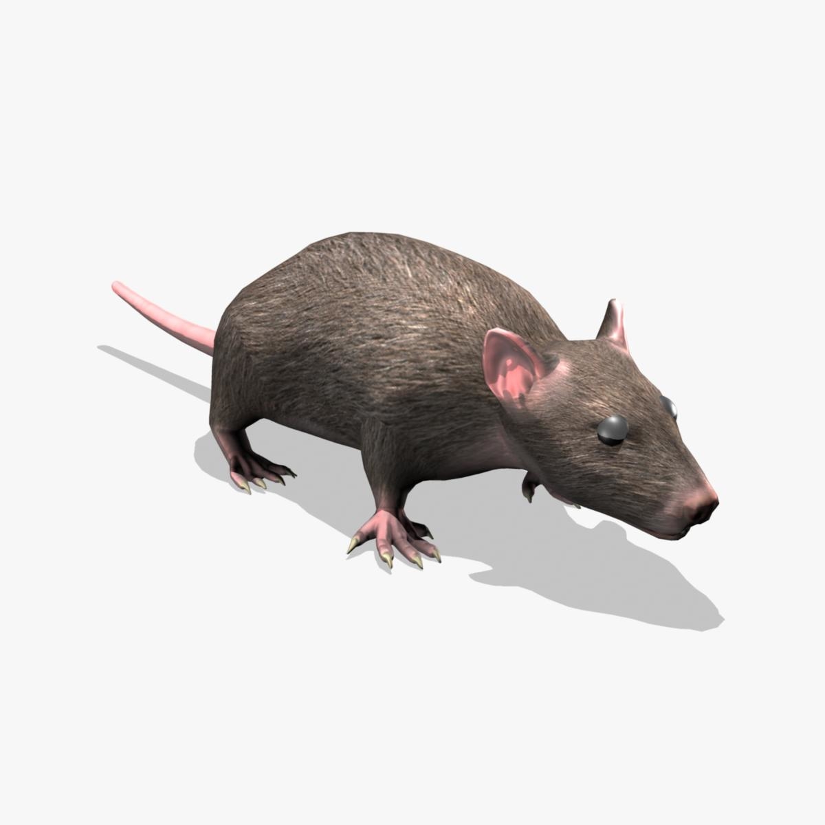 3d model rat rigged animation