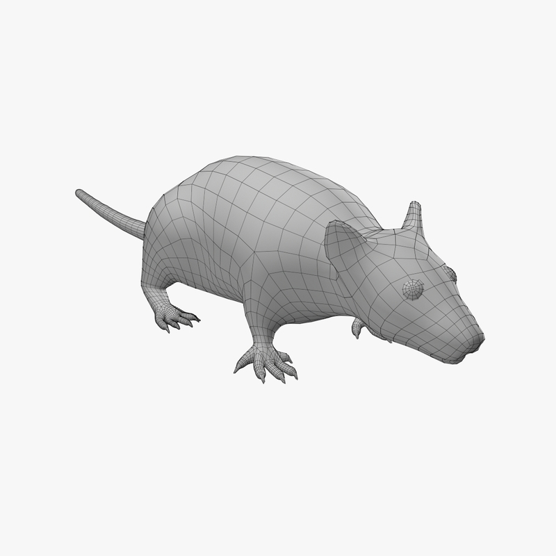 3d model rat rigged animation