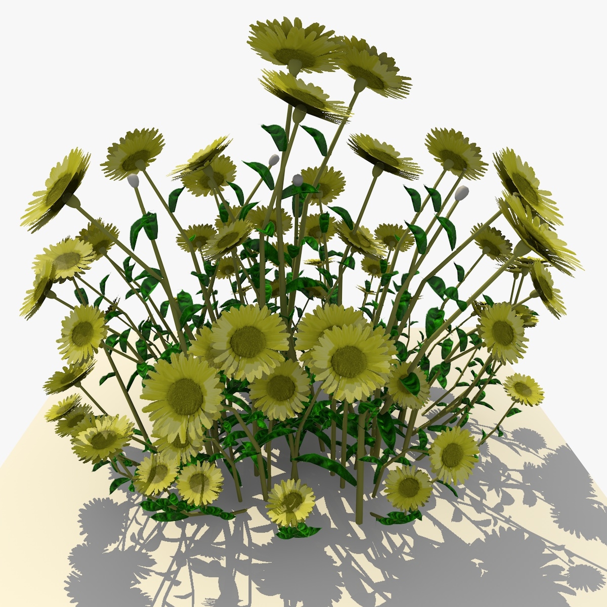 yellow daisy flowers 3d model